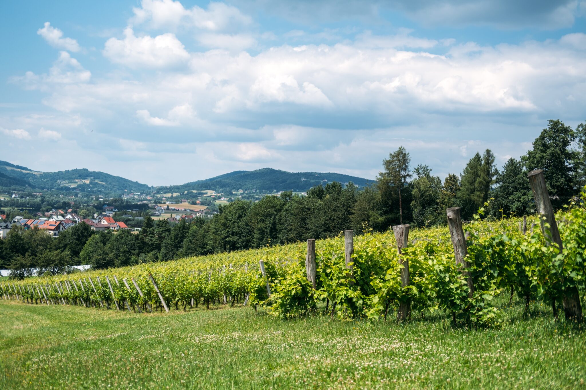 Scope2算出方法を完全解説｜電力由来の間接排出を正しく計算する手順と環境省ガイドライン対応 | MIRAIL